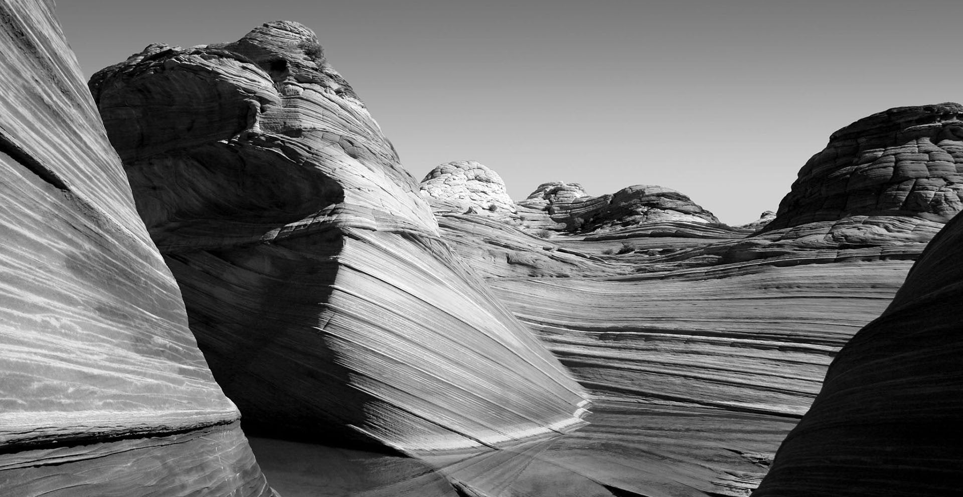 Stone Forest – Artisan Stone Sinks, Tubs & Garden Fountains