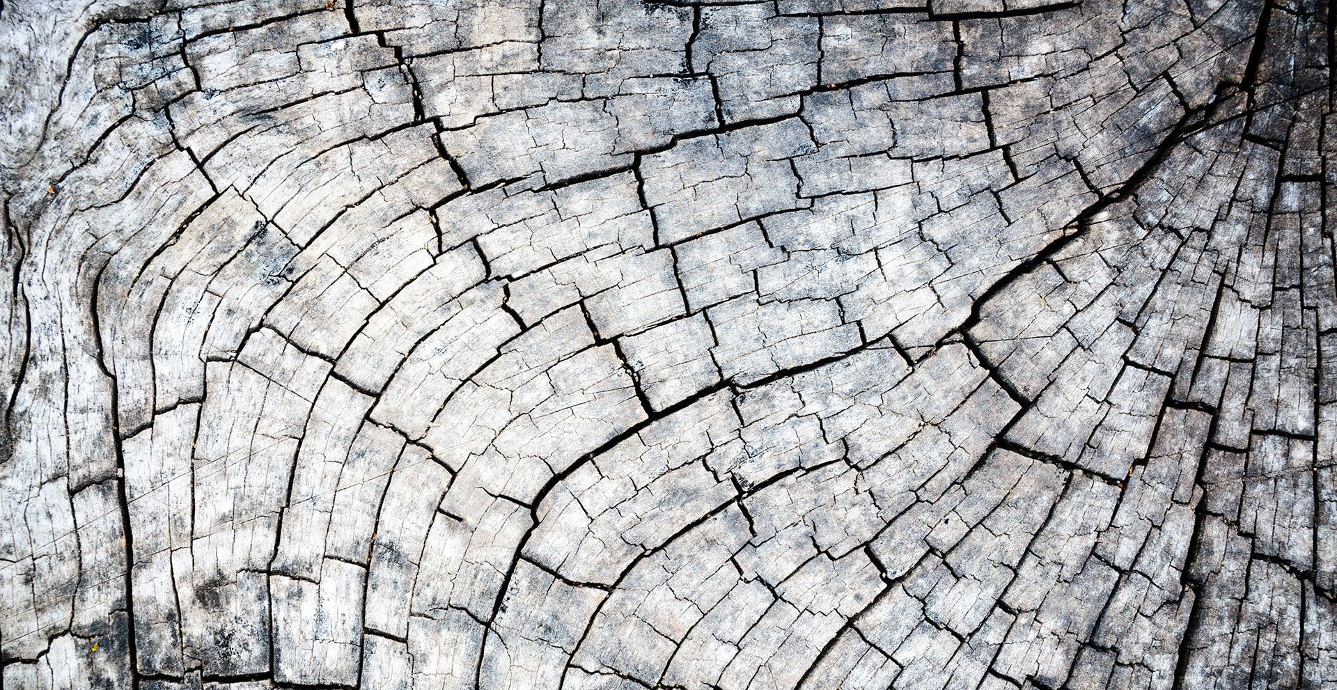 Stone Forest – Artisan Stone Sinks, Tubs & Garden Fountains