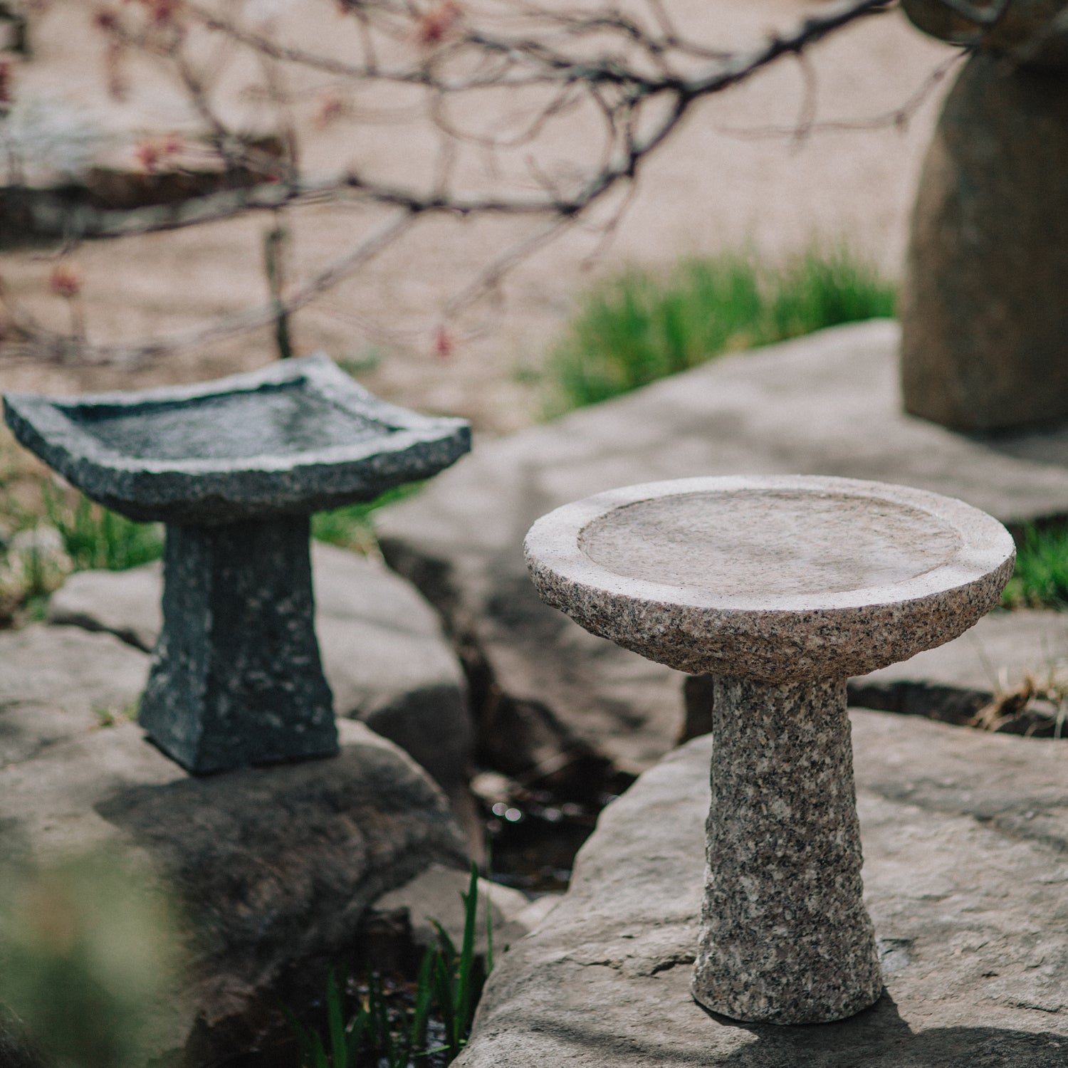 Natural Basalt Bird Bath | Modern Outdoor Decor | Stone Forest